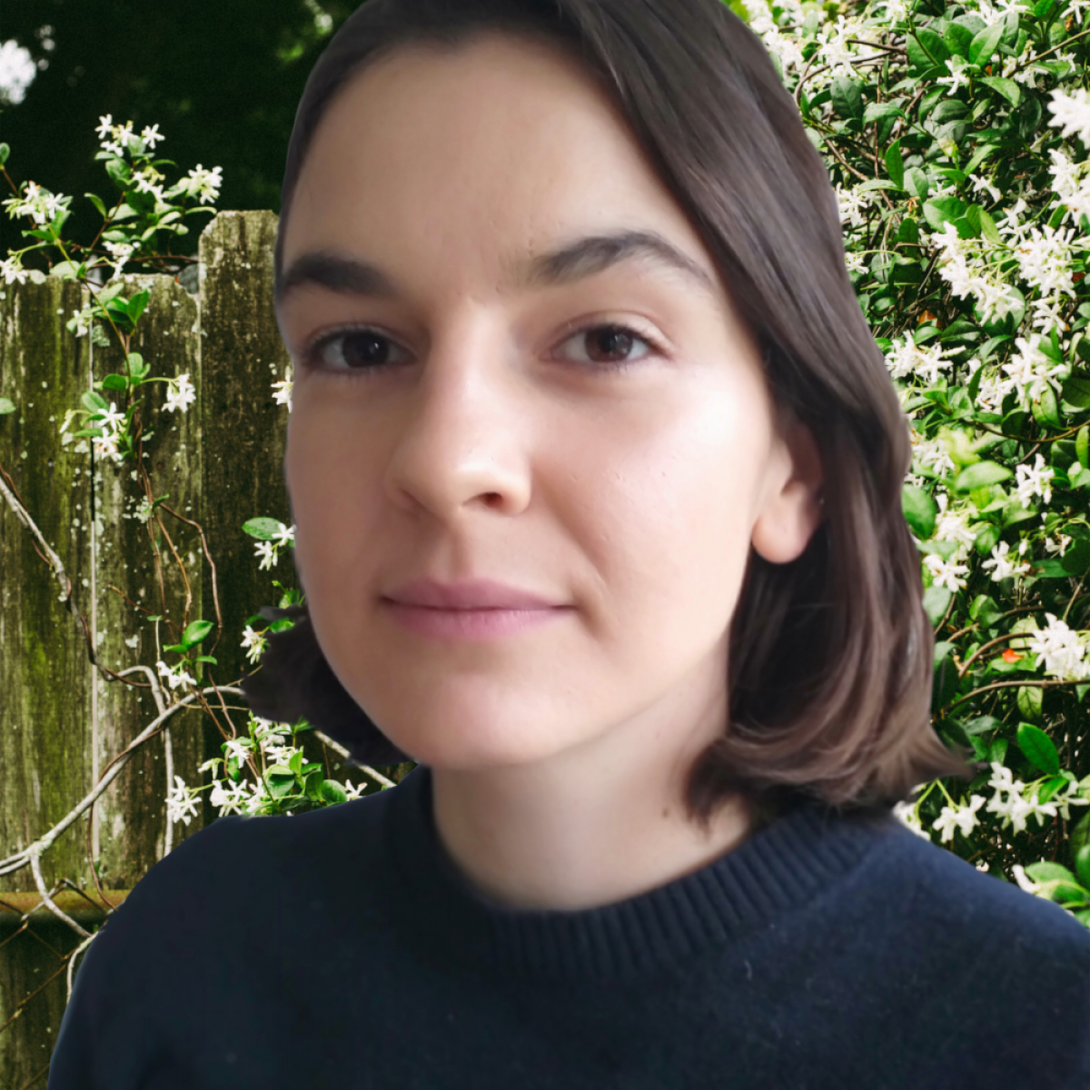 Agulhas Applied Knowledge - Harnessing knowledge and learning for ...