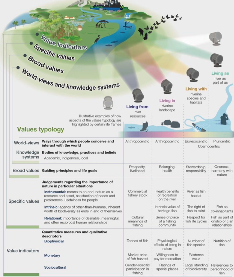 Valuing nature like our lives depend on it - Ashley Greenleaf - Agulhas